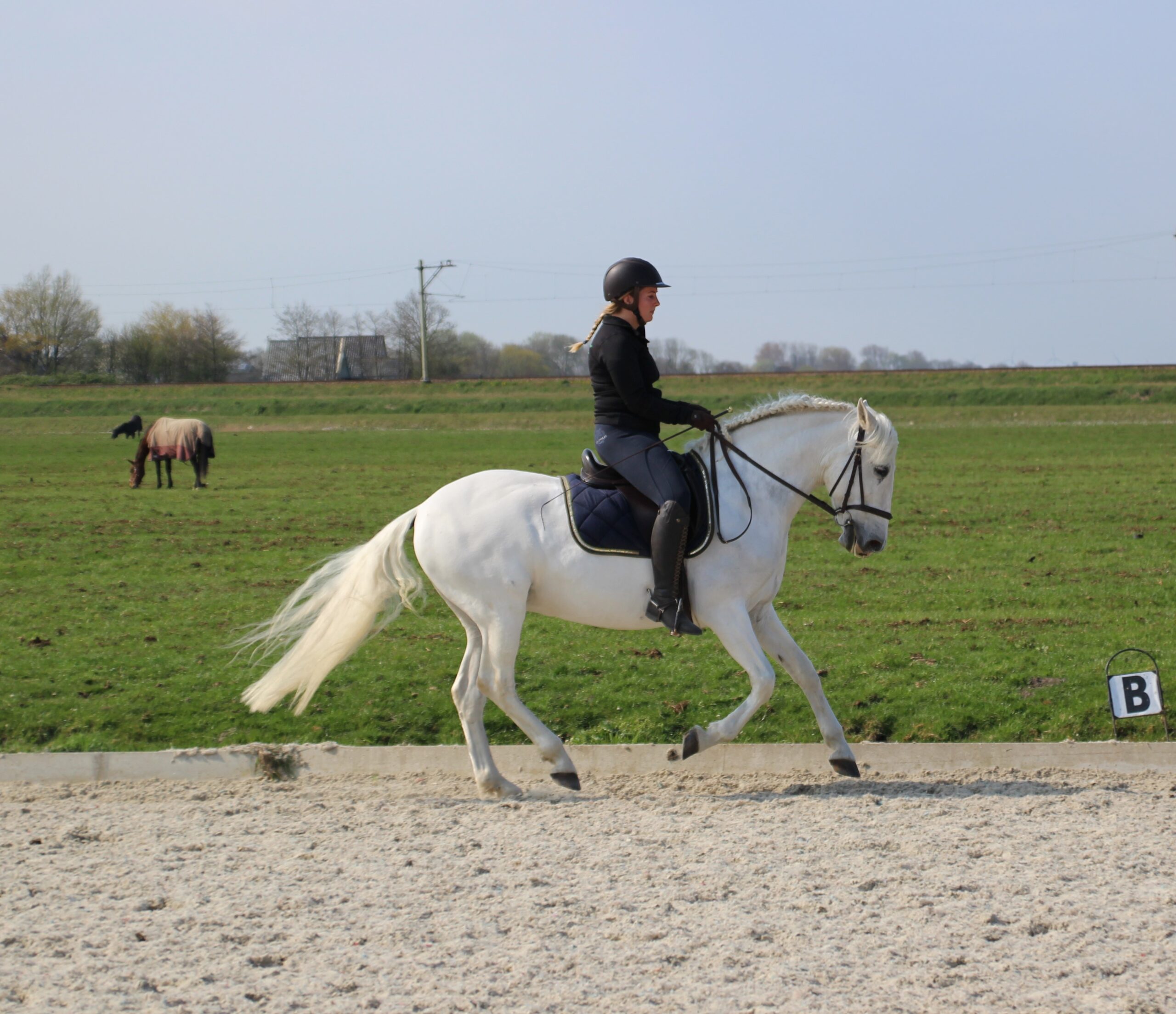 Verbeter je galop met déze oefening – Samen met je Paard